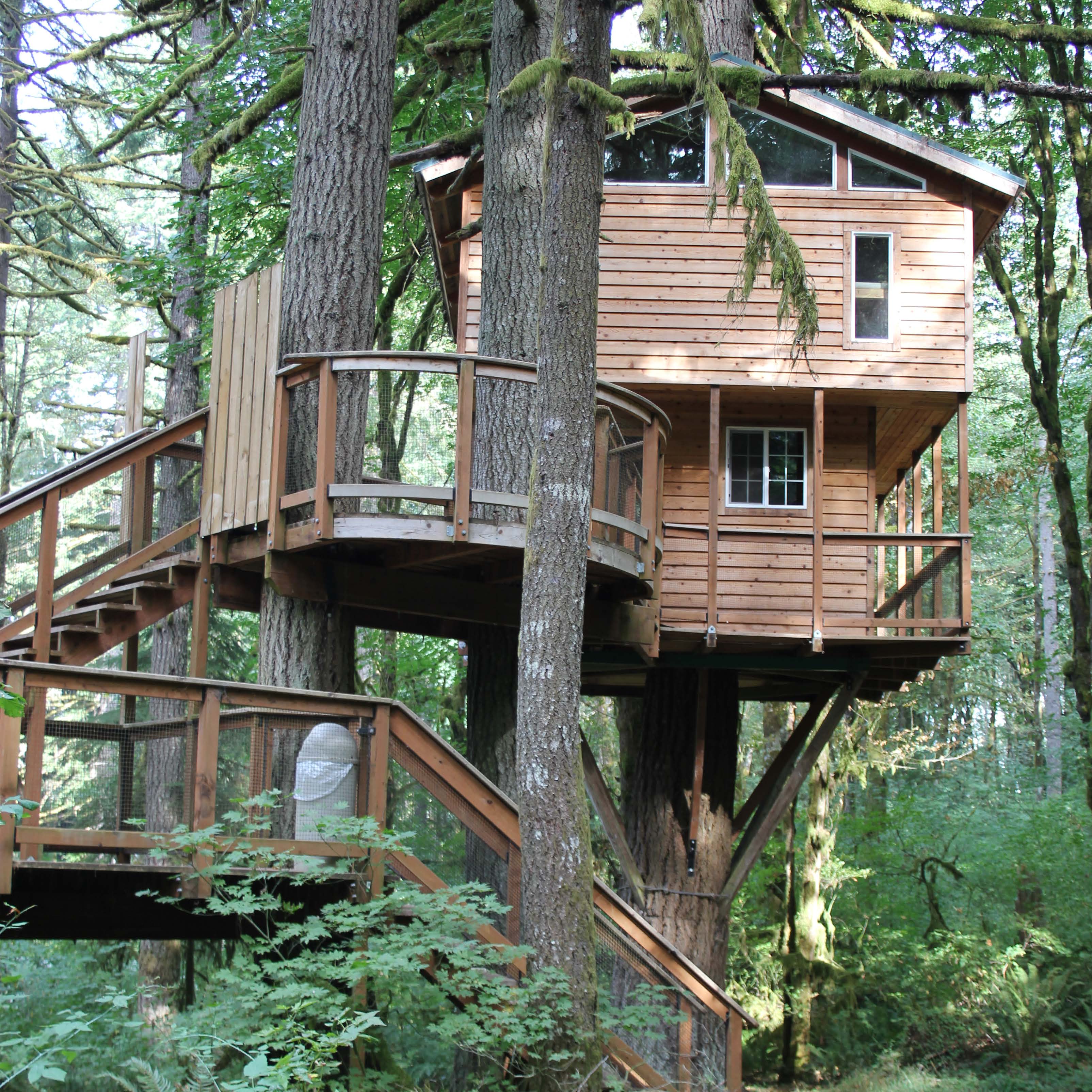 Tree House – TCBC